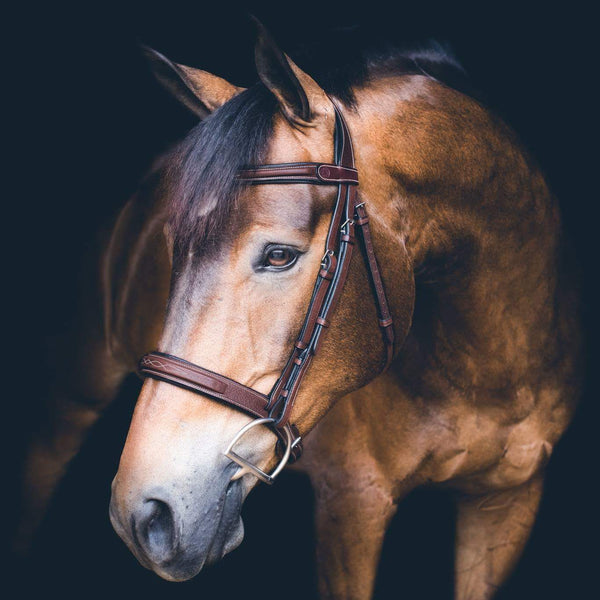 BUTET Hunter Bridle - Maddox Equestrian
